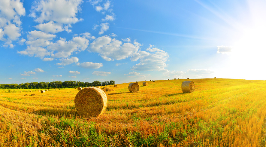 Are You Ready for the Hay Harvest Season?
