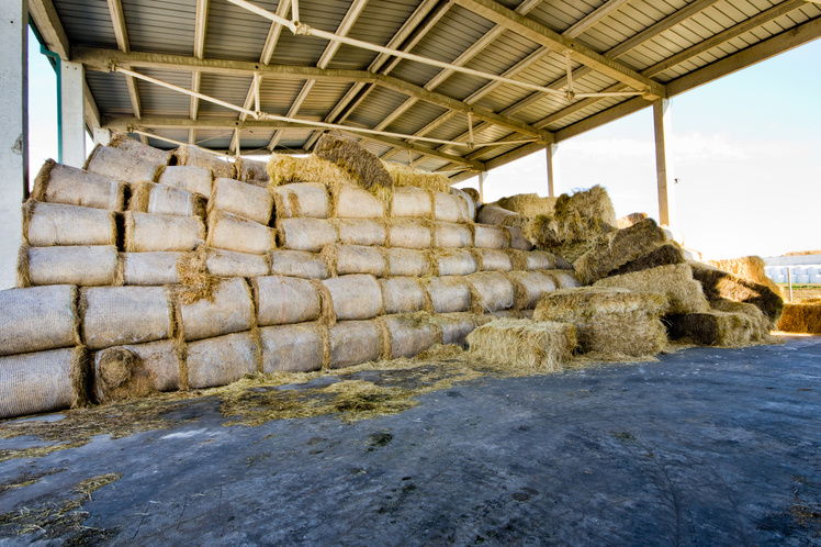 Five Factors for High-Quality Hay