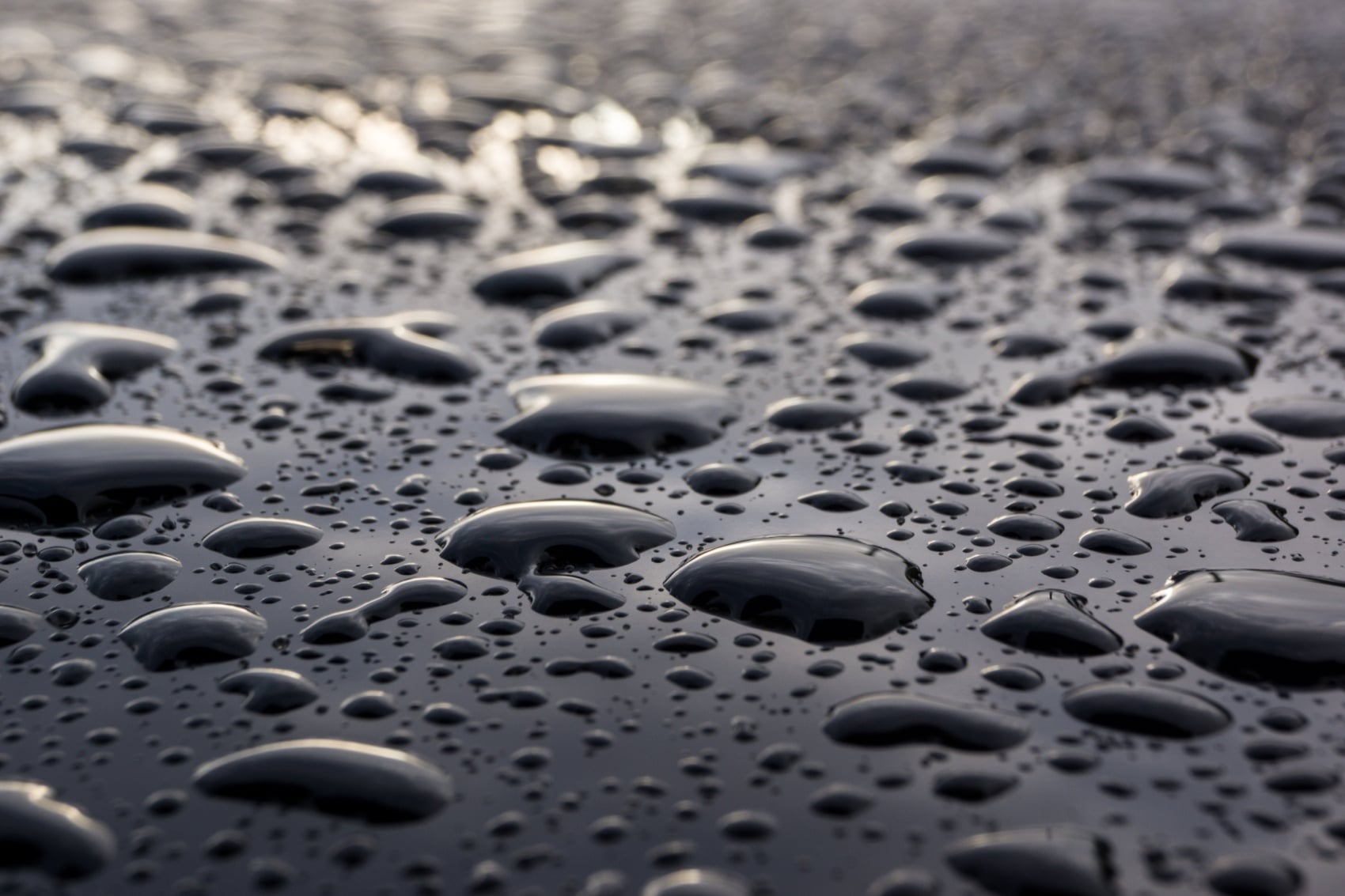 Using Moisture Meters to Determine Mold Risk