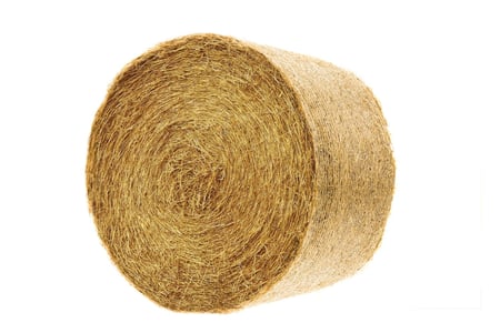 Moisture Levels During Hay Harvest and Storage