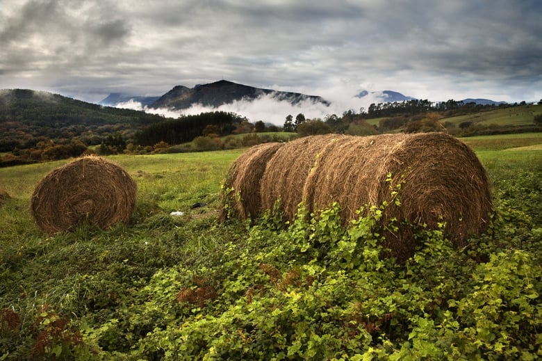 4 Reasons You NEED to Detect Moisture in Your Hay